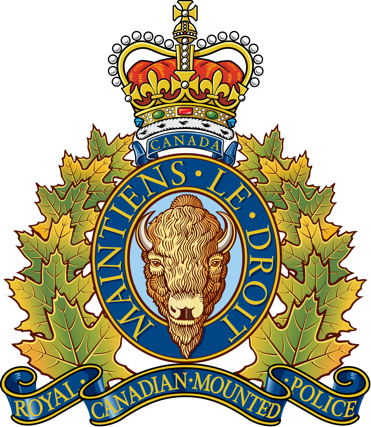 Revelstoke RCMP to Begin Traffic Safety Campaign in Town - Revelstoke ...